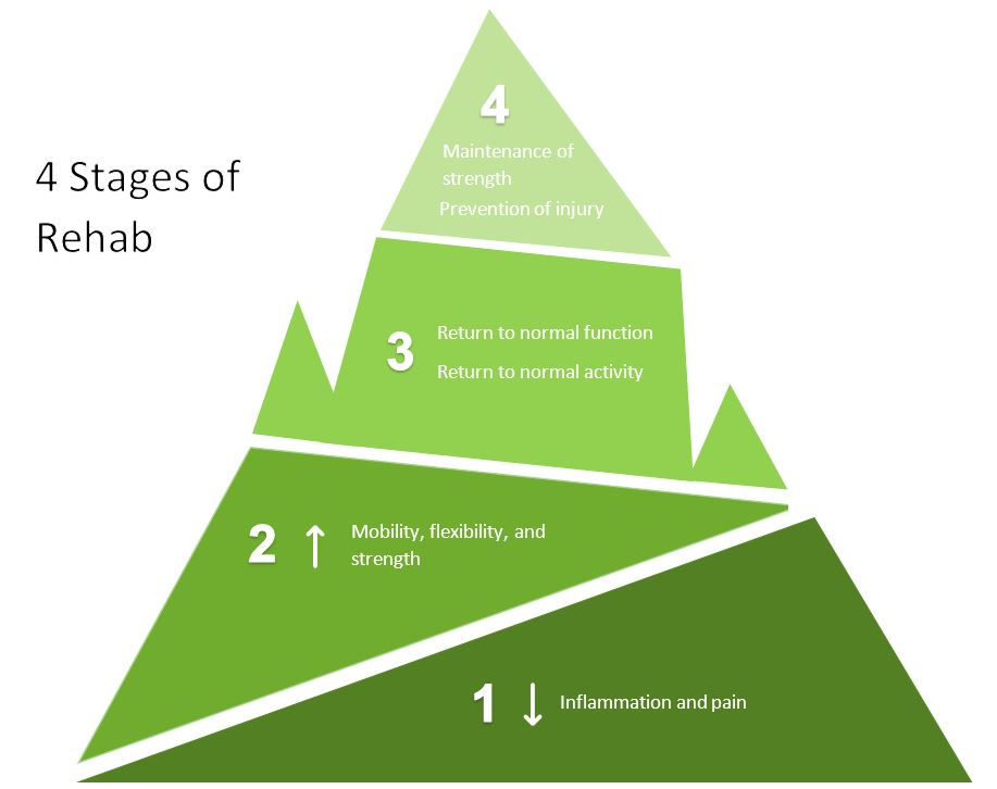 What does 'Rehabilitation' mean?