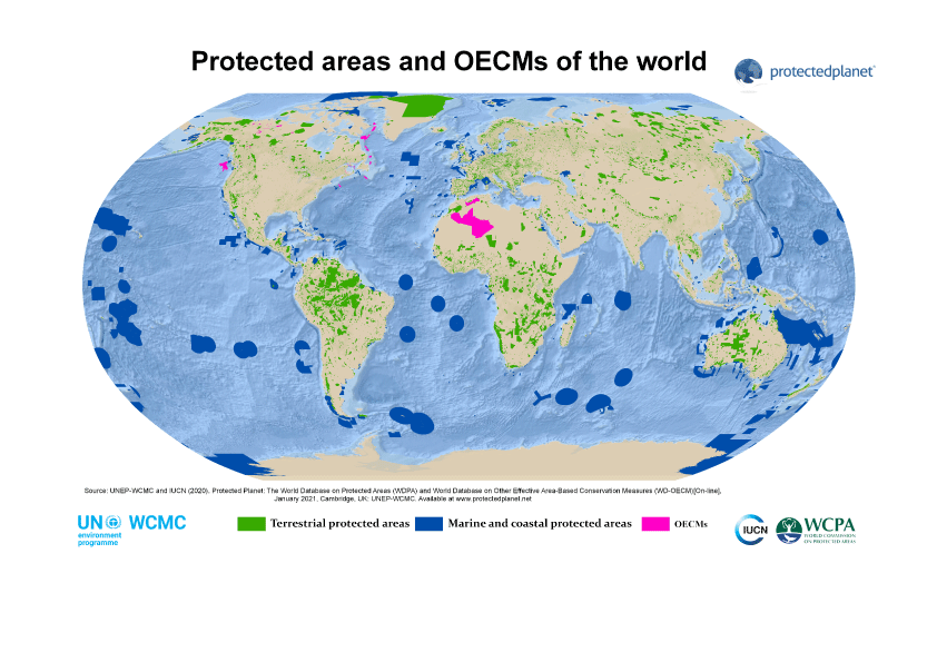 Marine Protected Areas – havens for marine wildlife?