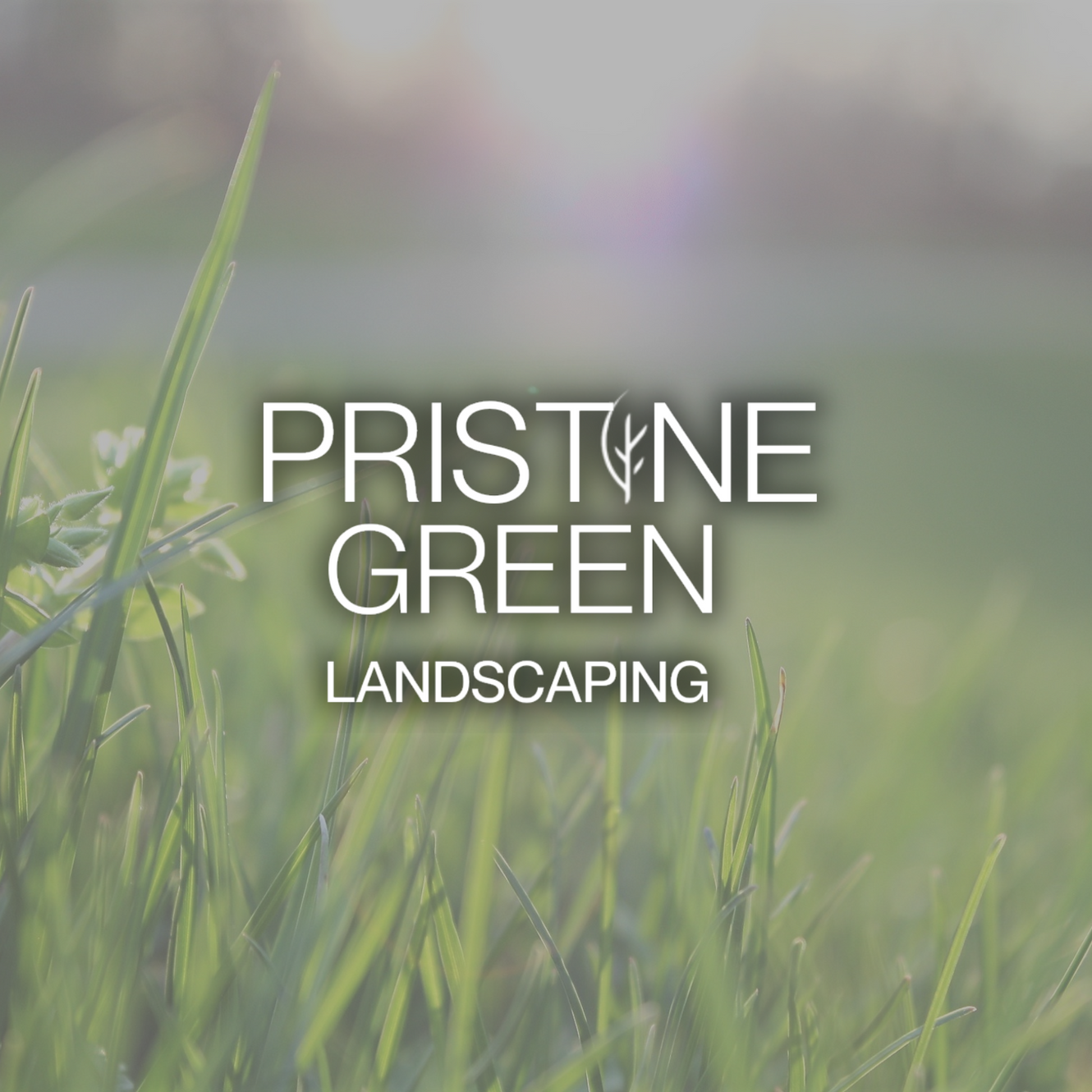 Lawncare | Pristine Landscapes