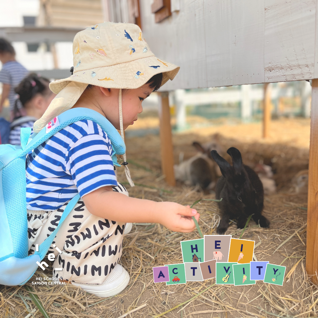 Inquiry-Based Learning: How Young Children Learn Through Questions and ...