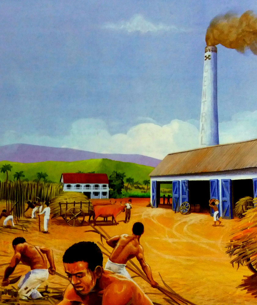 Africanos en Puerto Rico: Estilo de Vida