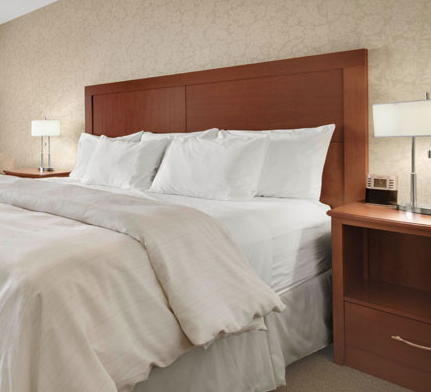 1 King Bed Bedroom Suite | days-inn-brandon