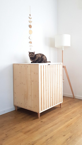 Cat Litter Robot 3 or 4 Cabinet, Modern Litter Box Cover,Enclosure for ...