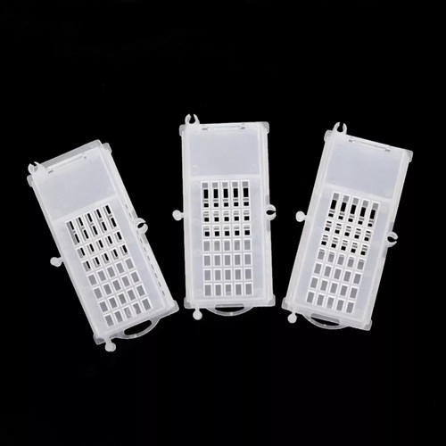 10-Pack Transparent Queen Bee Cages for Beekeeping | Homestead Raising