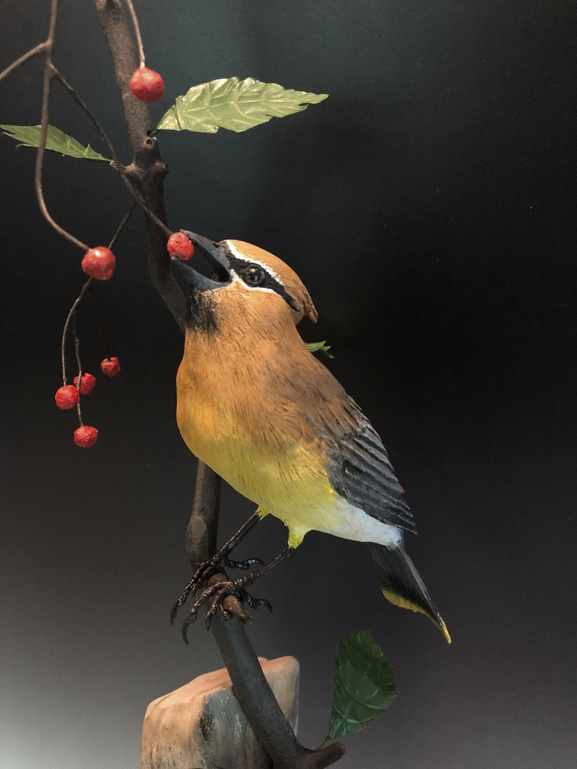 Jim Durow / Wildbirdsinwood / Lake Orion, MI