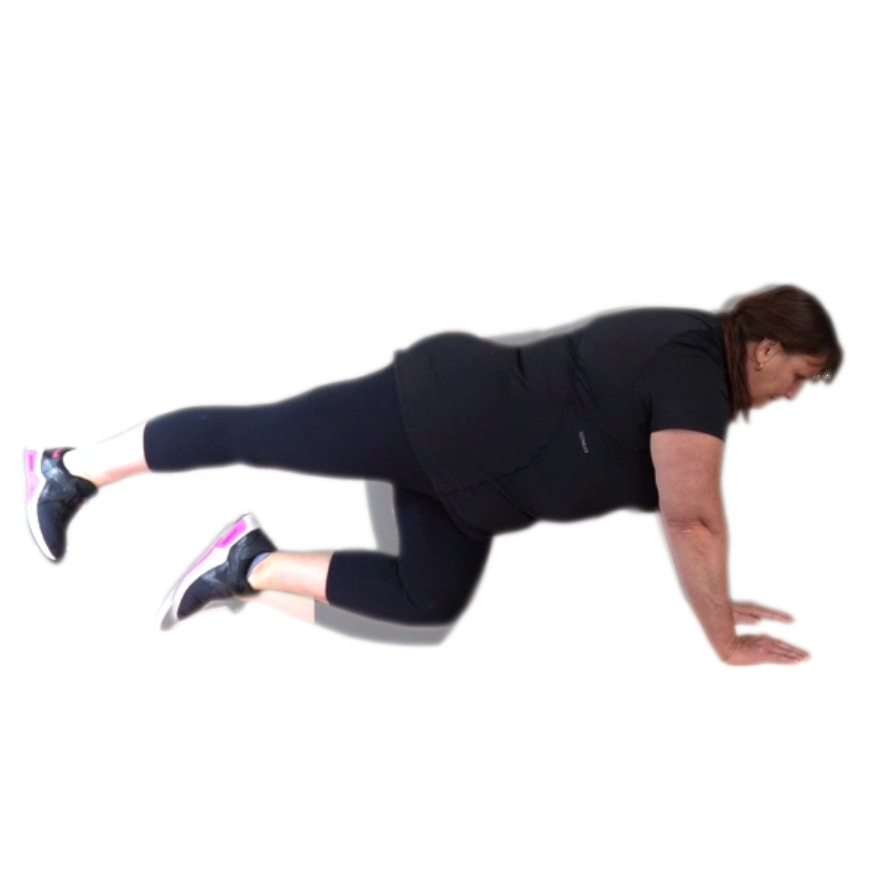4 Point Leg Raise