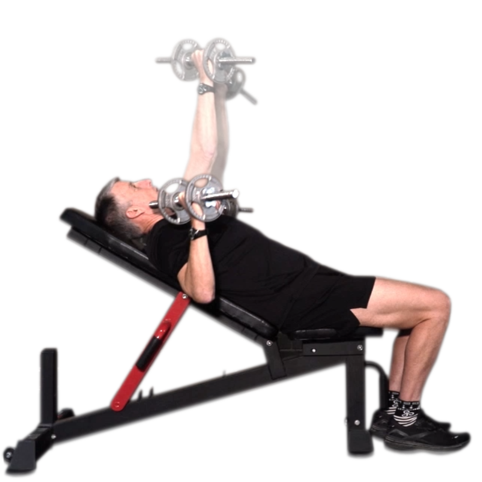Dumbbell Incline Bench Press