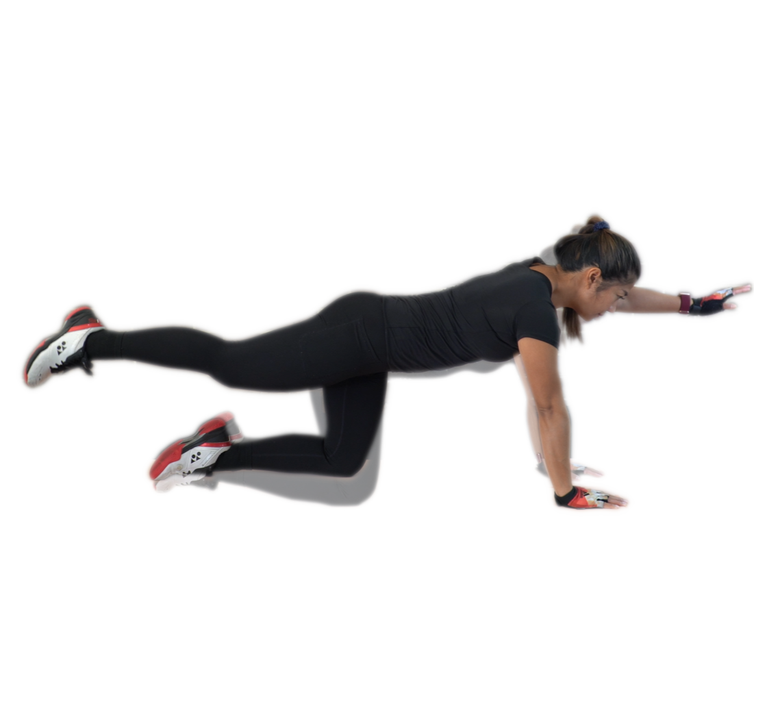 4 Point Arm Leg Raise