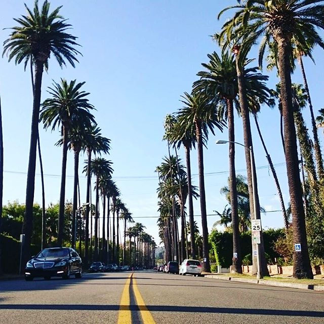 Beverly Hills Attractions | Beverly Hills Tour | We Love LA