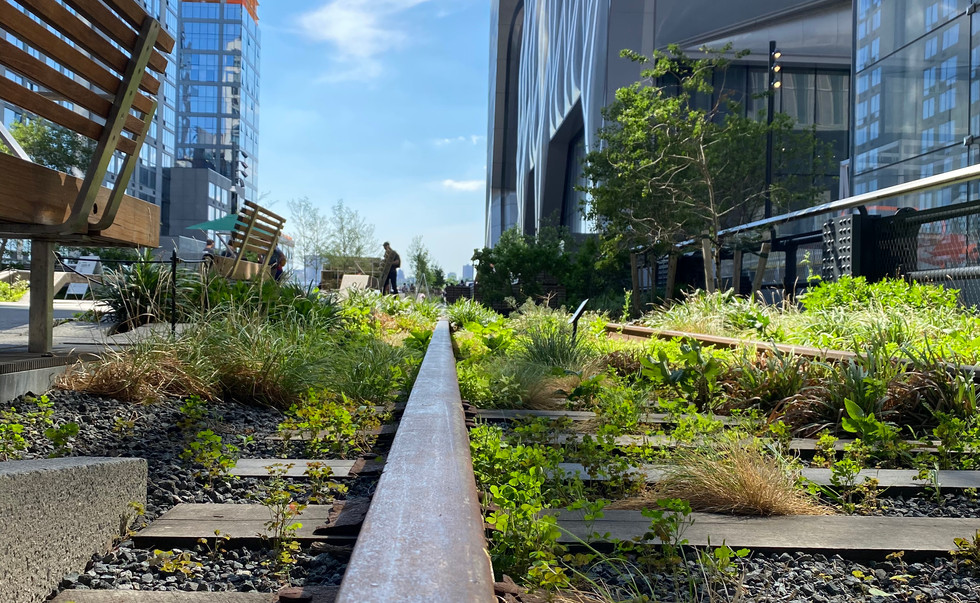 The High Line Walking Tour | NY Tours