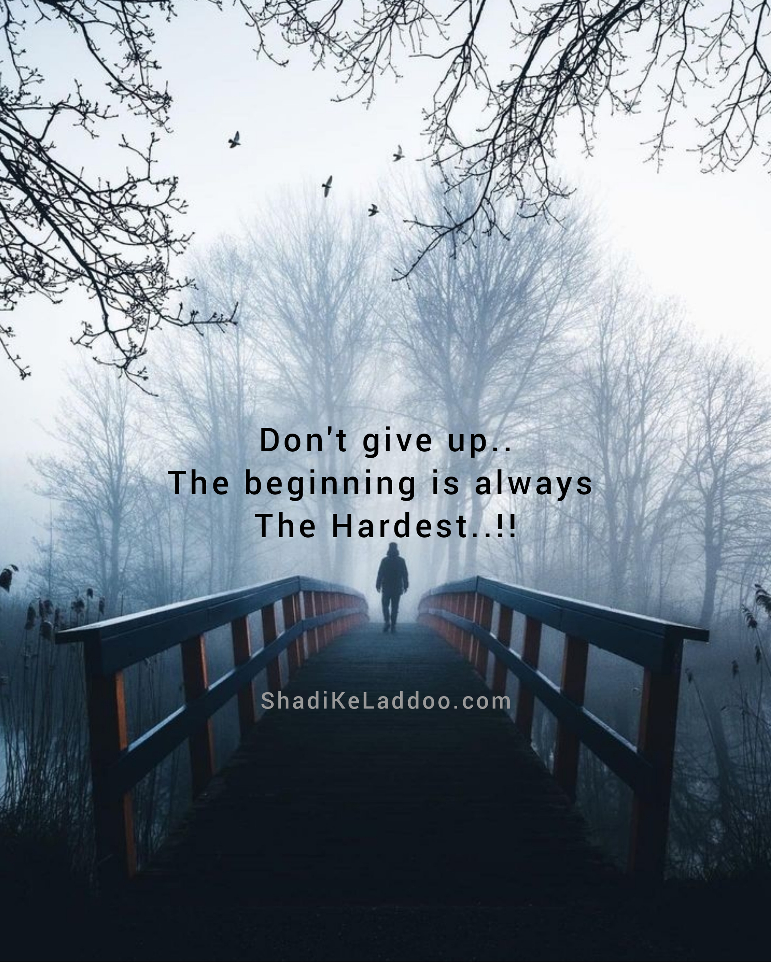 Inspirational quotes | Motivational Quotes