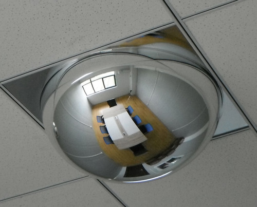 Reflect-A-Dome Series - Drop In Dome Mirror | Fred Silver