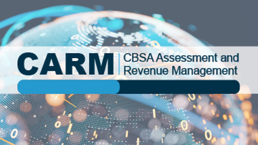 Everything To Know About CARM (CBSA's new system to assess and collect ...