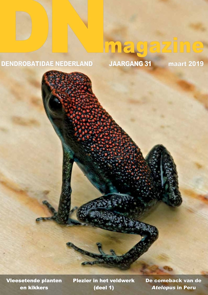 DN magazine maart 2019