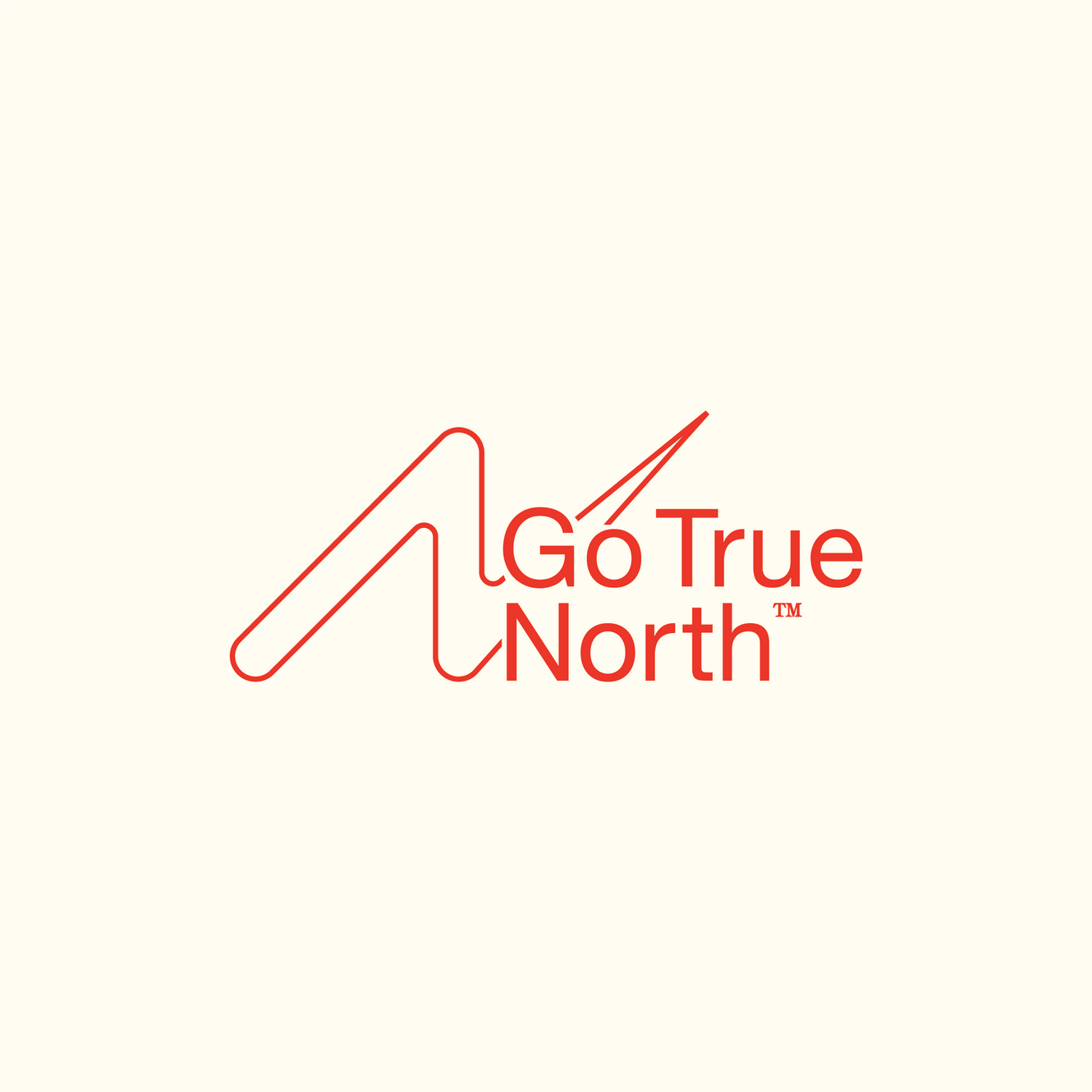 Go True North | Strategies for business Growth