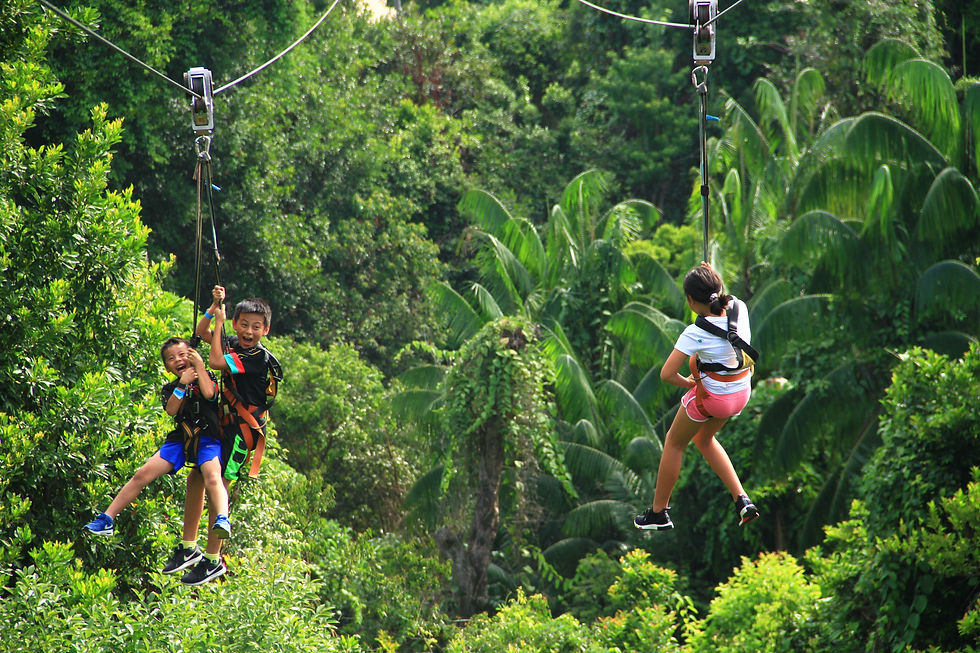 Mega Adventure - Singapore | Home of the MegaZip