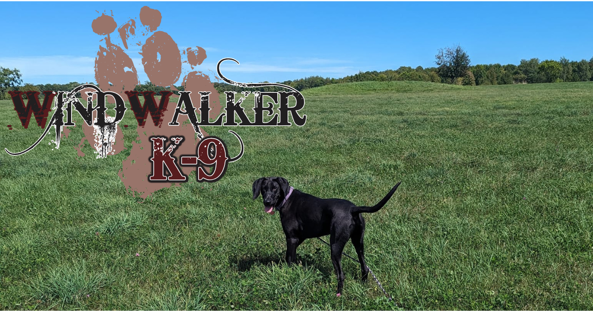 Dog Boarding & Obedience Training | Windwalker K9