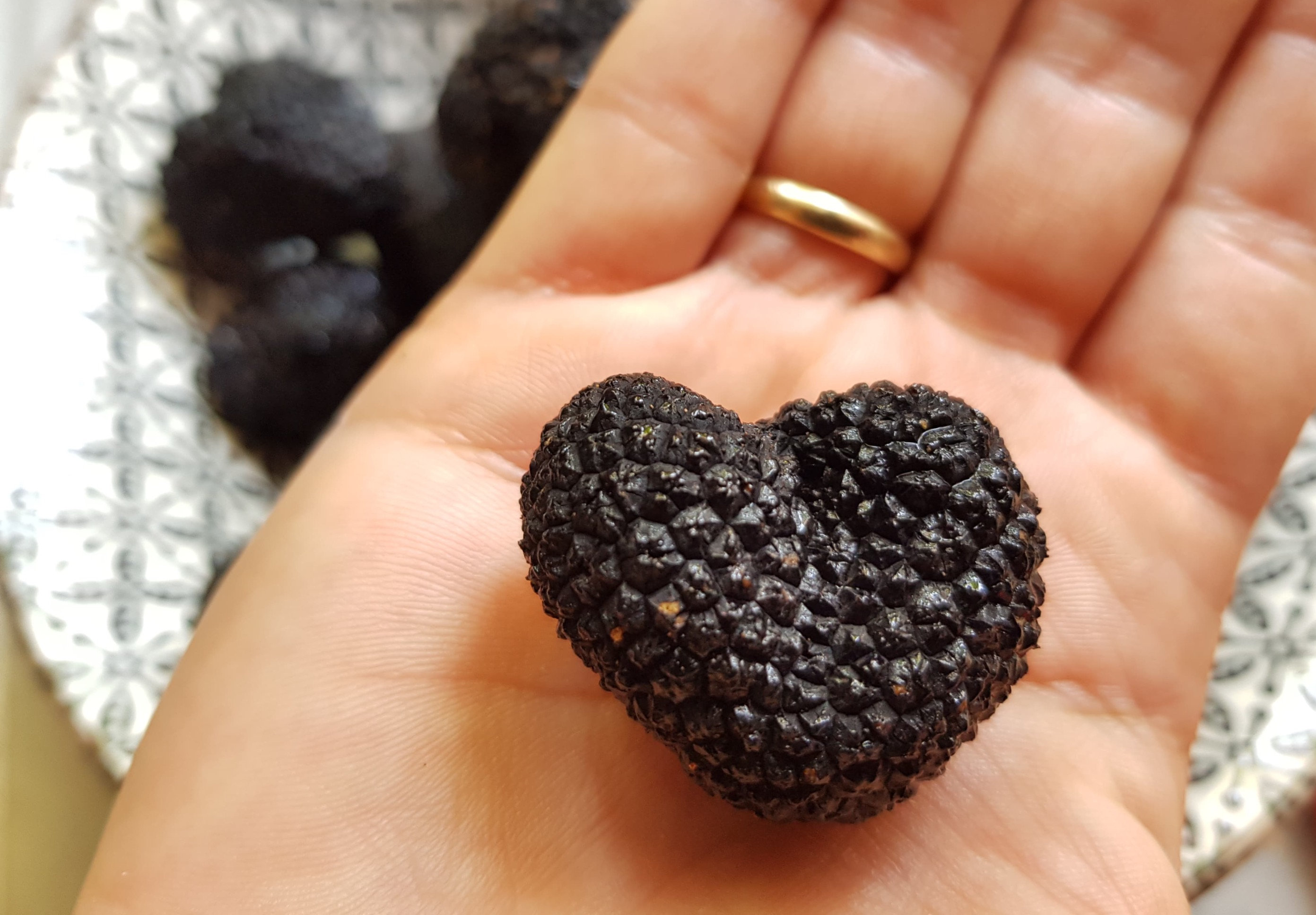 Wildcrafted Fresh Black Summer Truffle (Tuber Aestivum) ***100% ...