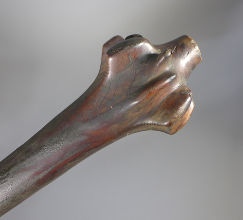 Large Antique Tribal Vanikau Fijian Root Stock War Club | Antiqueguys