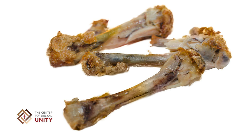 Can We “Eat the Meat and Spit Out the Bones” About CRT?