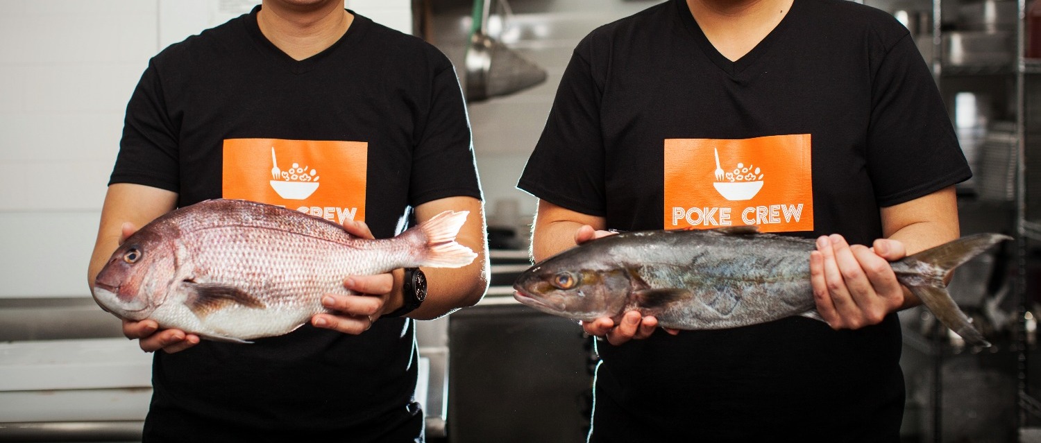 Fresh, Healthy, Delicous, Poke by The Crew / Englewood, NJ / POKE CREW