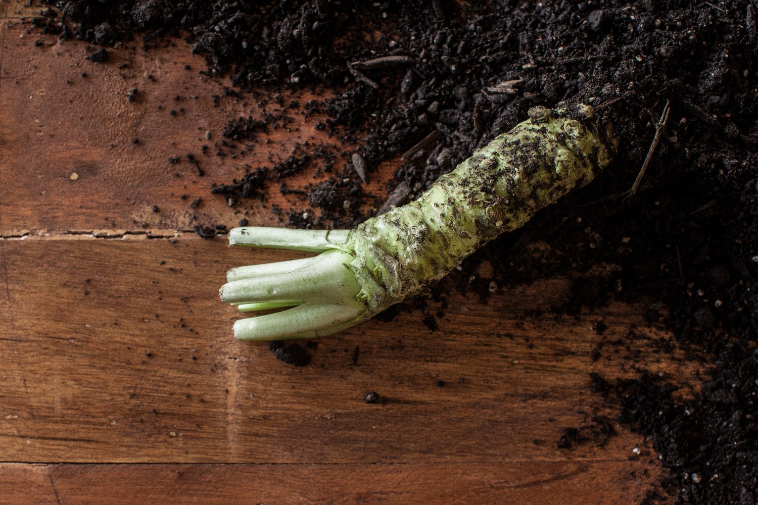 Fresh, Healthy, Delicous, Poke by The Crew / Englewood, NJ / POKE CREW