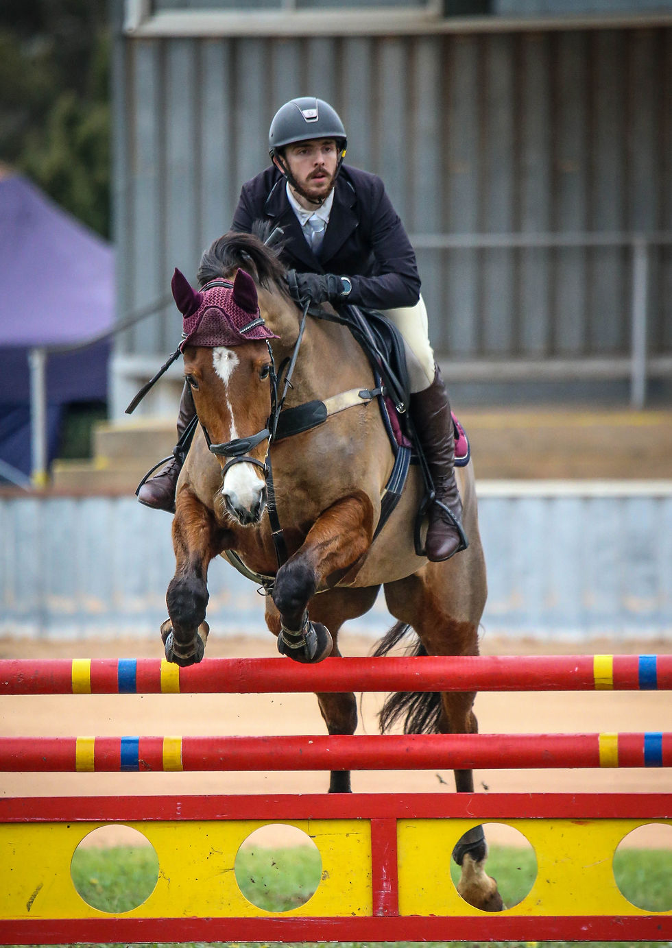 All levels well catered for at Kadina's Copper Coast show