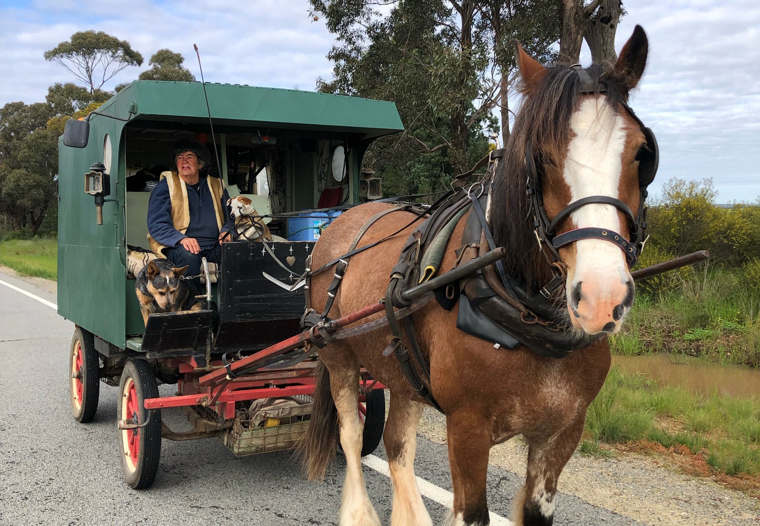 Di takes the scenic route for a 500km trek to Barellan