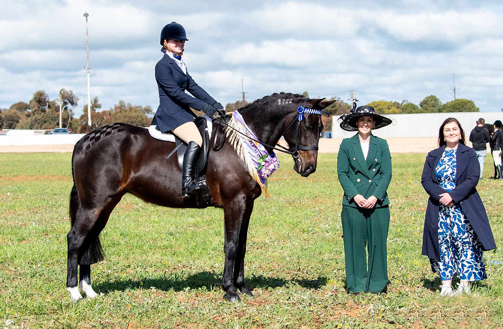 All levels well catered for at Kadina's Copper Coast show
