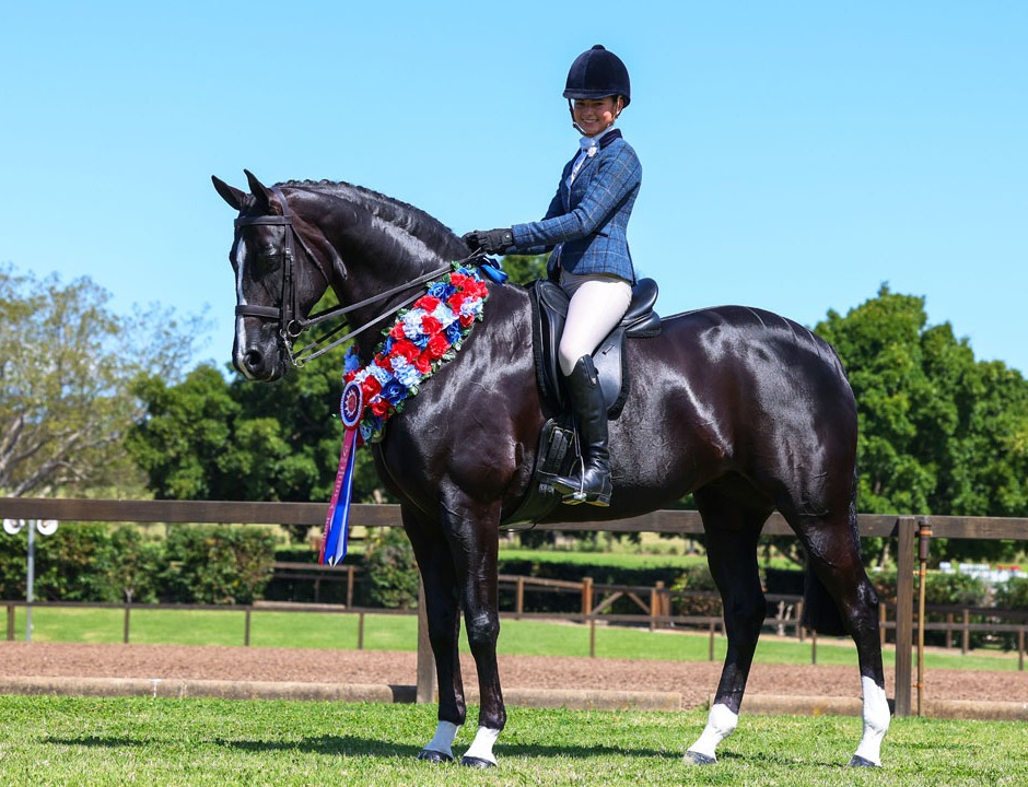 NSW selects a classy field for championships at its HOTY