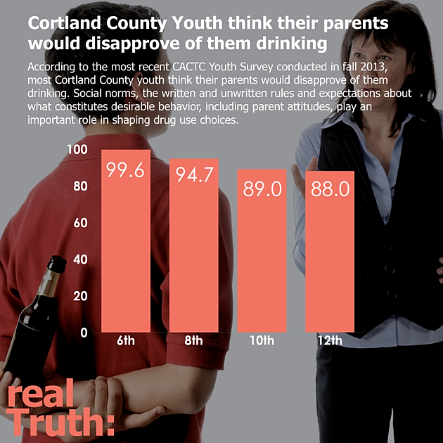 5 charts that explain alcohol use among youth in Cortland County