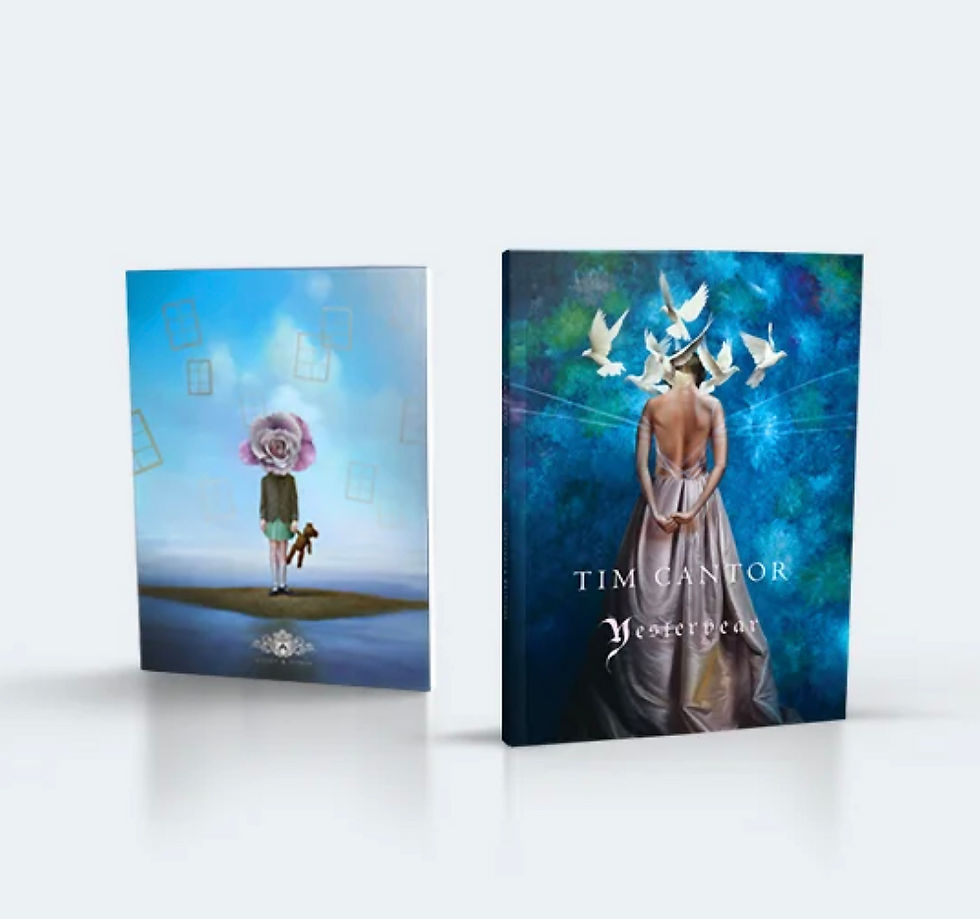 Shoppe | Tim Cantor Galleries