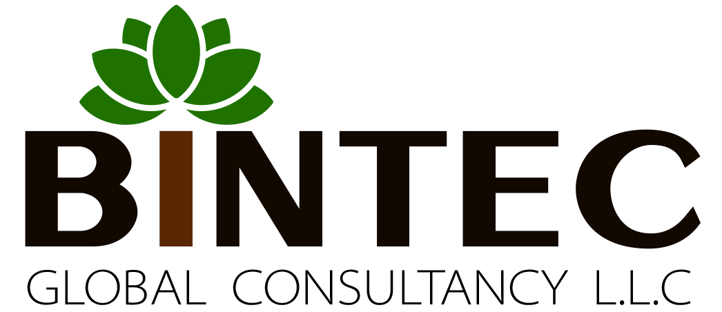 BINTEC Global L.L.C