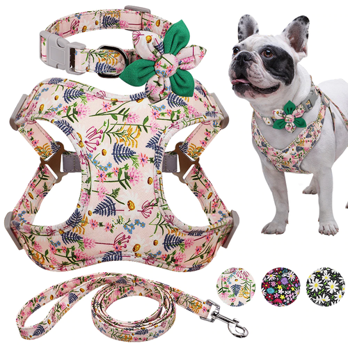 Completo tre pezzi Fiori | Bull & Friends