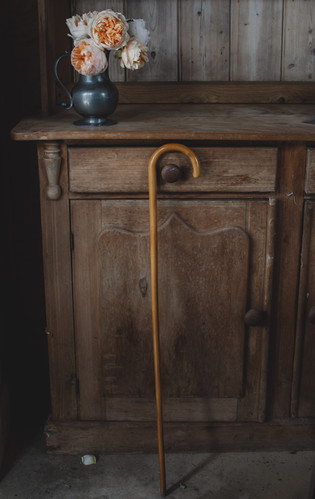 Old Timber Walking Stick | Studio2804