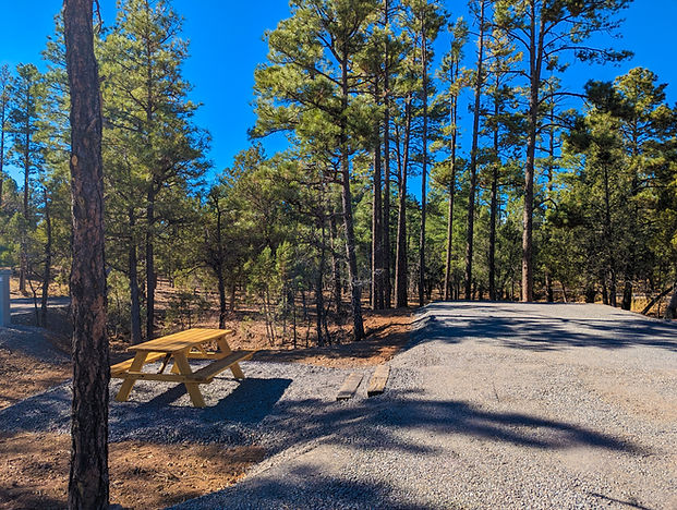 Woodside RV Resort | RV Resort | 3850 Vacation Village, Show Low, AZ, USA