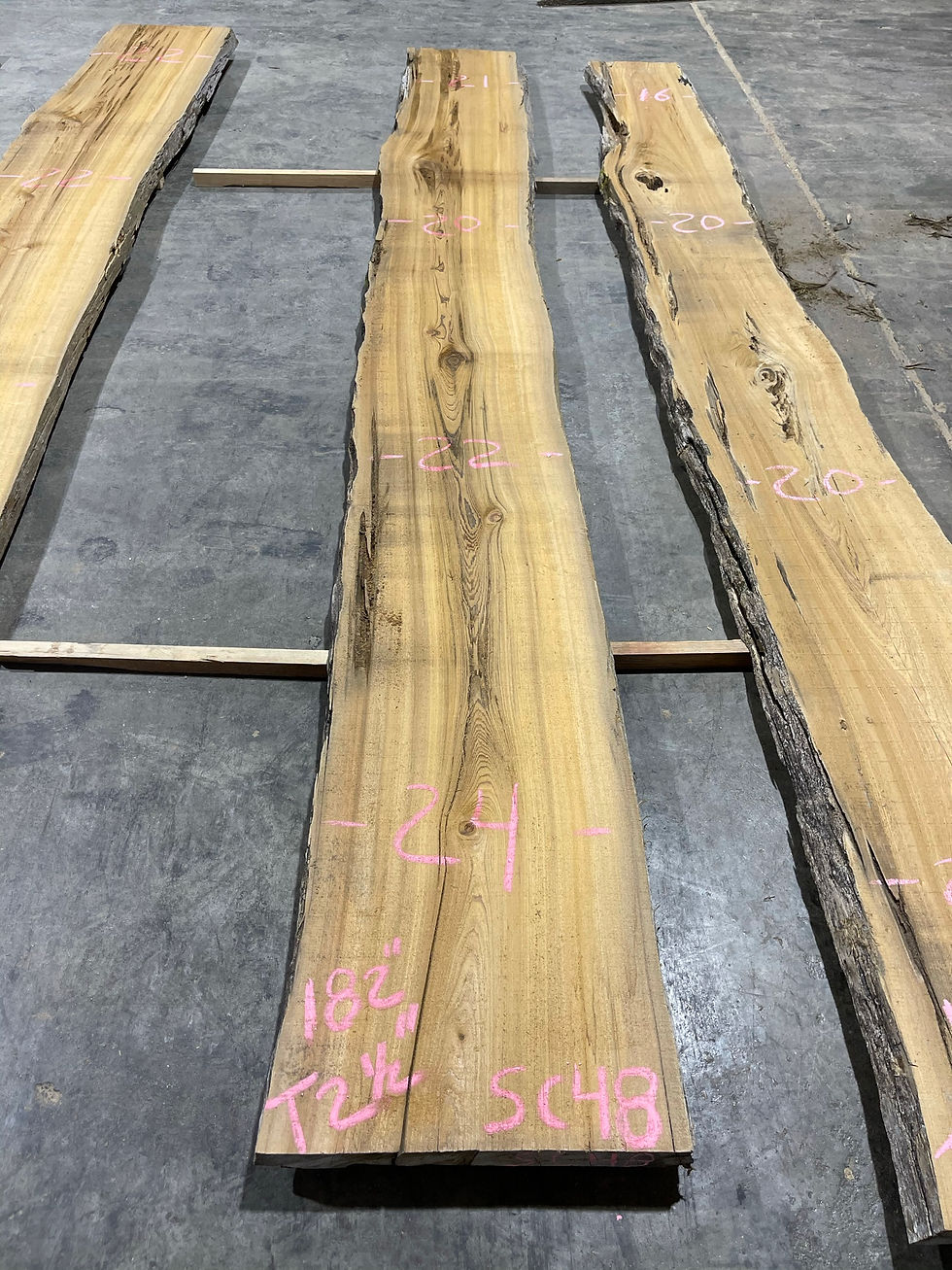 Sinker Cypress Slabs | DH4 Lumber