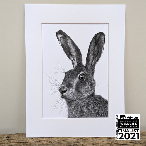 'Harry Hare' print | Stephanie Lacey Art