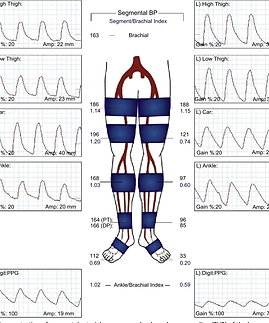 Services | HeartLab Diagnostics