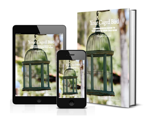 My Caged Bird | Creative LifeStyle