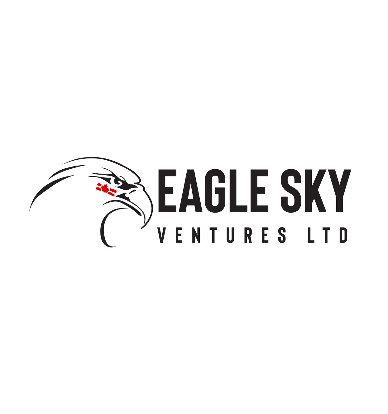 Eagle Sky Ventures Ltd | service rigs | Carnduff, SK, Canada