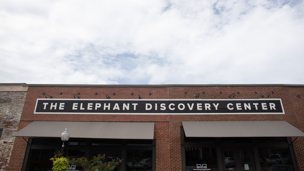 Hohenwald | Nashville's Backyard