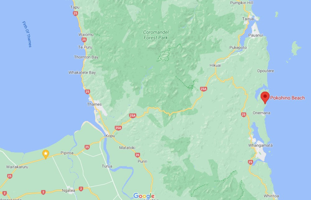 Pokohino | haurakinaturally