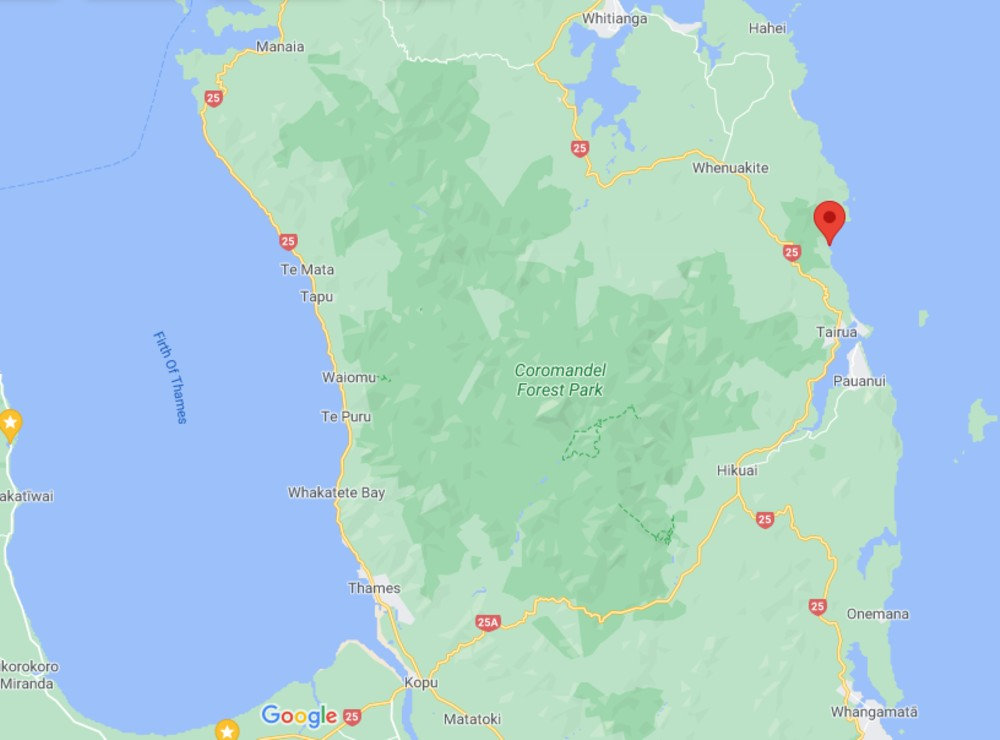 Otara Bay | haurakinaturally