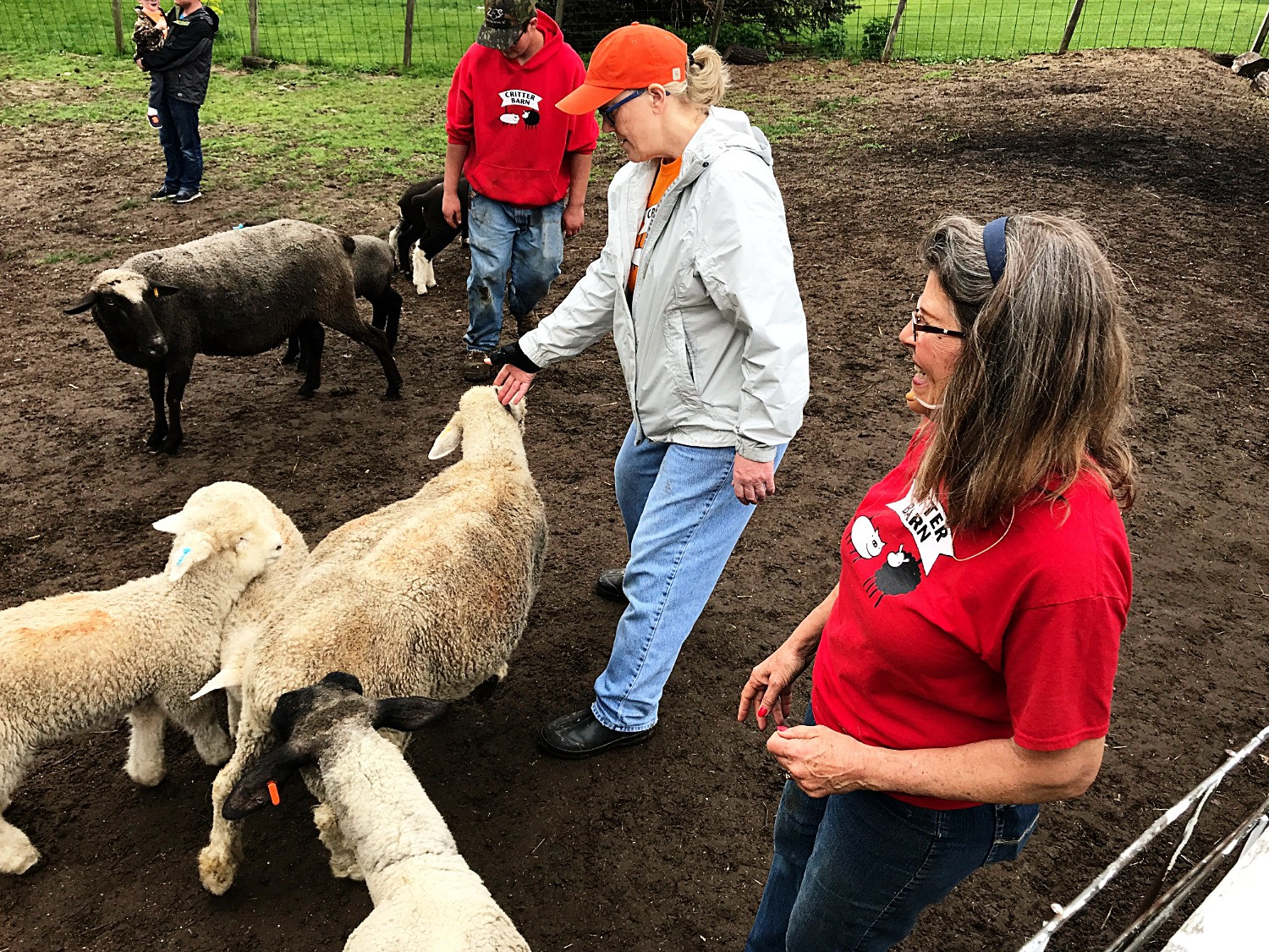 Fullscreen Page | Critterbarn