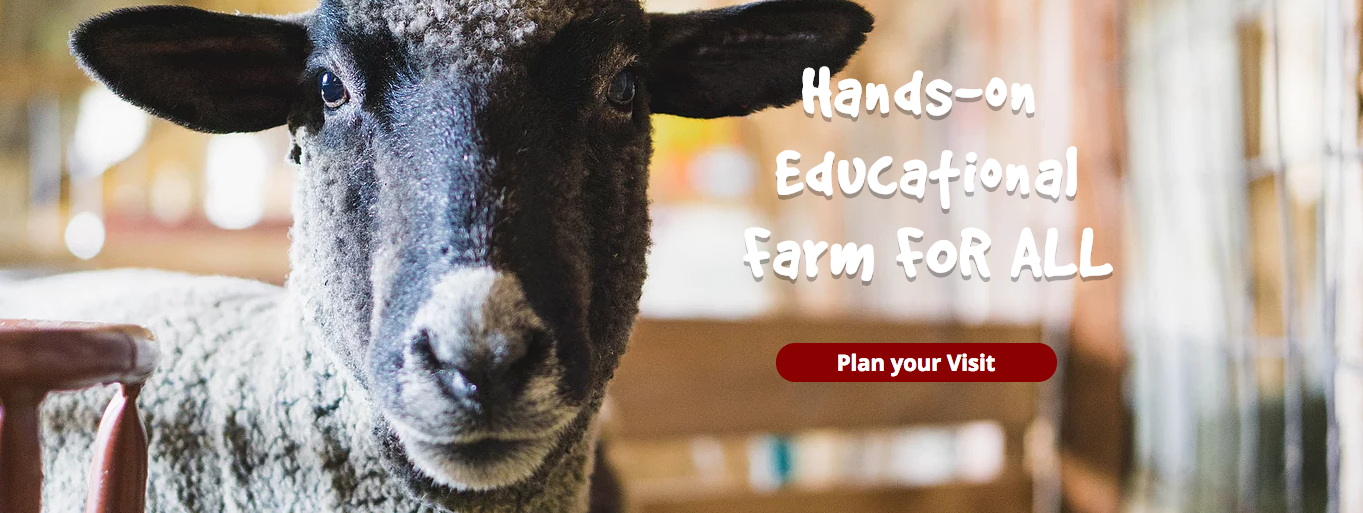 Critter Barn | Visit The Farm