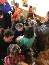 Critter Barn | Spring Fling