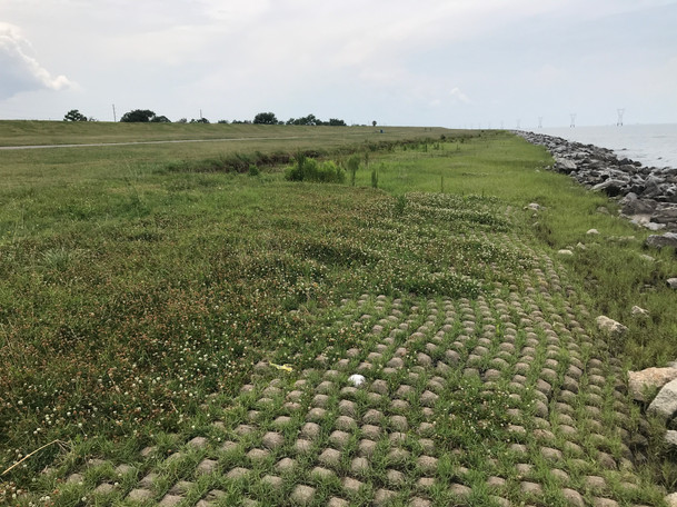 Lake Pontchartrain Levee Protection