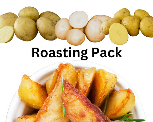Roasting Pack - Certified Seed Potatoes (6 per pack) | NZ Lifestyle Group