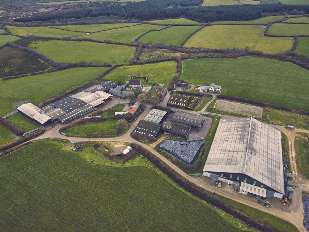 Guided system supports optimal herd management (Oct 22)